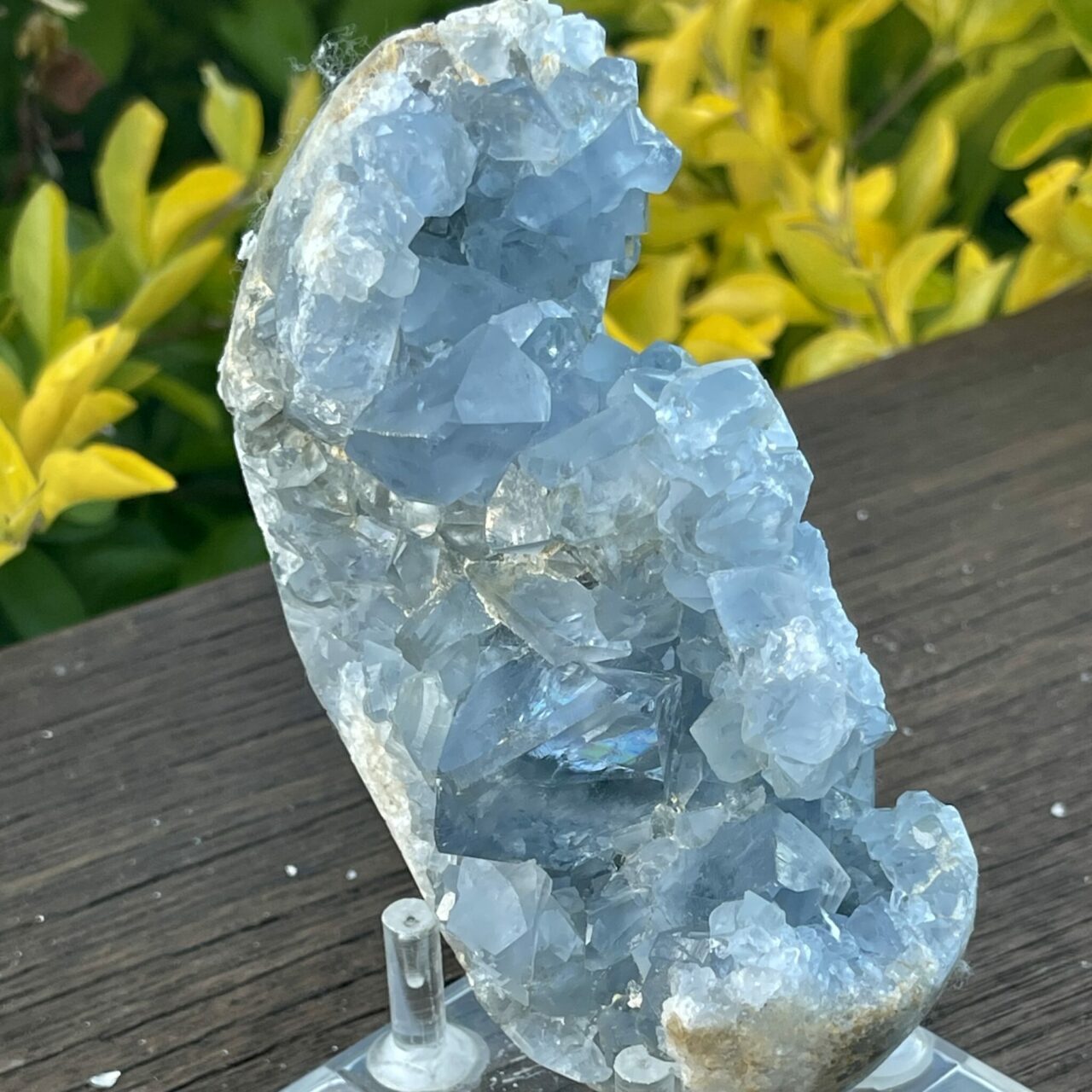 6 Power Crystals for Students - Transform Your Exam Day | The Crystal Cave